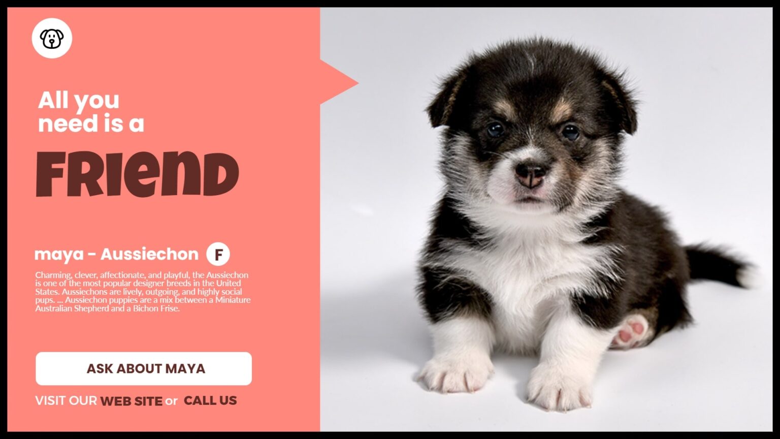 Ways Digital Signage can be Used at Pet Stores!