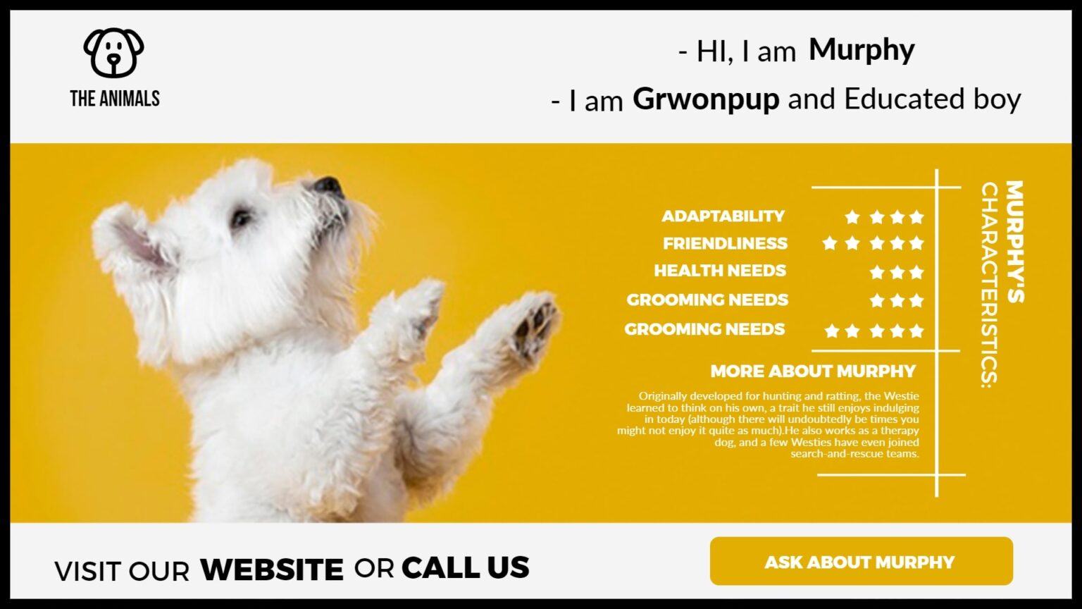 Ways Digital Signage can be Used at Pet Stores!