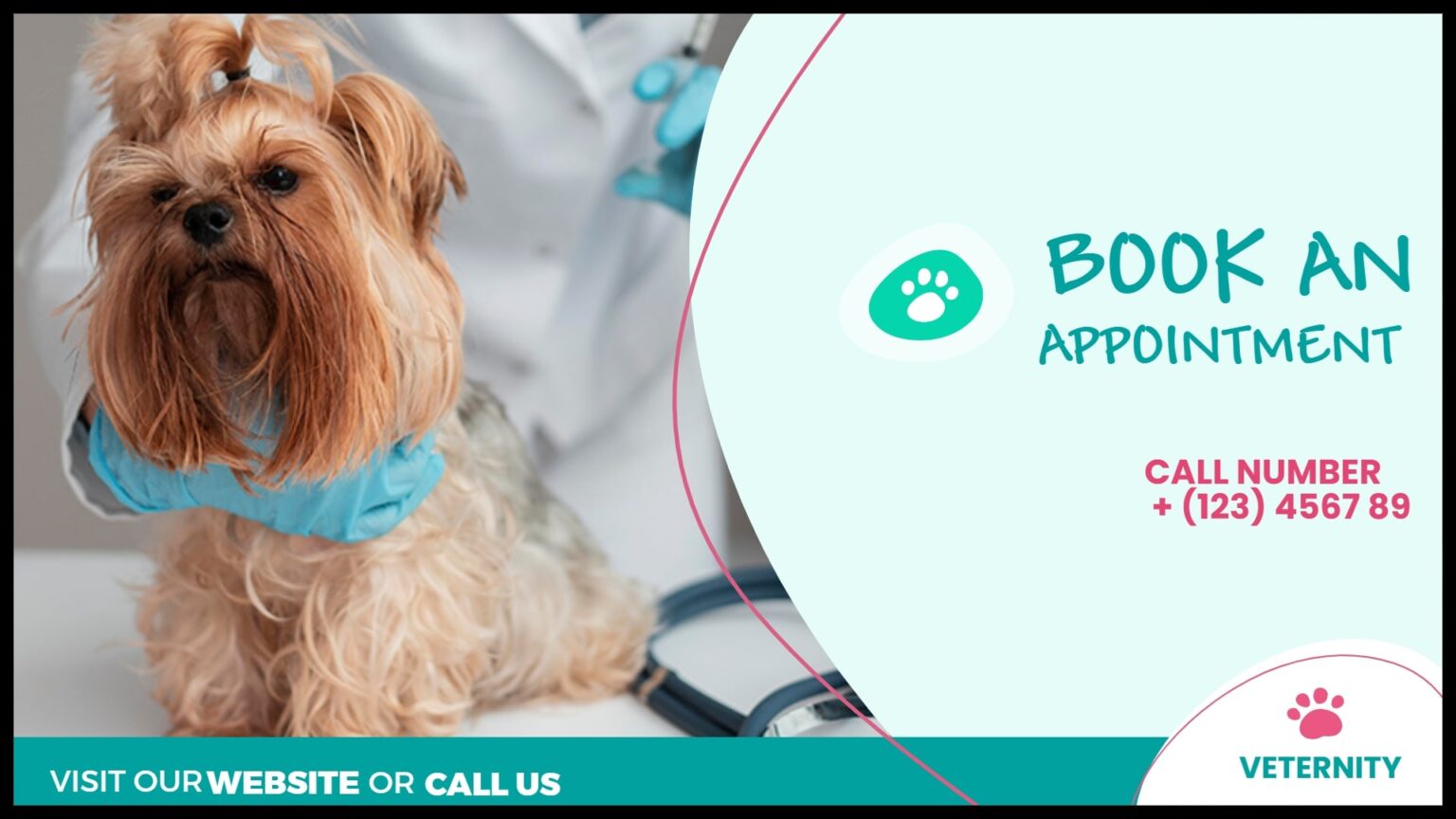 Ways Digital Signage can be Used at Pet Stores!